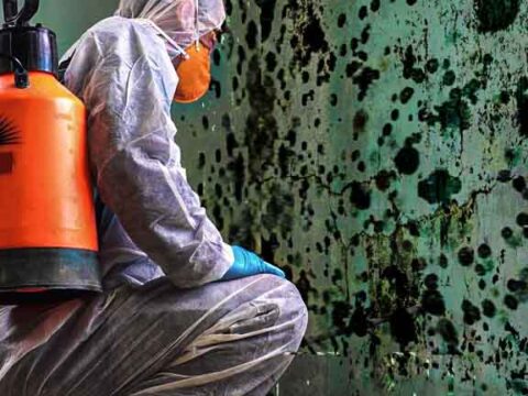 Experts In Asbestos and Mold Testing, Remediation, and Removal